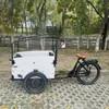 Quality Electric Cargo Bike 20/26 Inch Three Wheel Cargo E Bicycle Large Capacity for sale