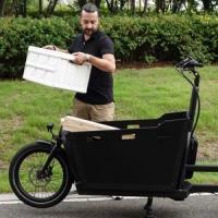 Quality Brushless E Cargo Bike for Carrying Groceries Family-Friendly Cargo Bicycle for sale