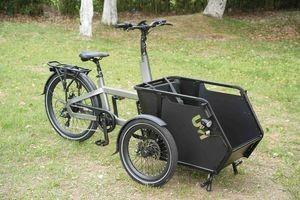 China Comfortable Ride Ebike Electric Cargobike with En15194 Good Price for sale