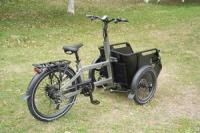 Quality High Quality Electric Cargobike Trike CE Approved 200-250W Stable Low Centre for sale