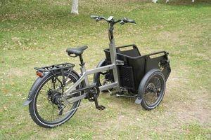 Quality High Quality Electric Cargobike Trike CE Approved 200-250W Stable Low Centre for sale