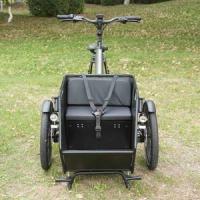 Quality High Performance Brushless Ebike Trike Low Centre Bike Comfortable Ride with for sale