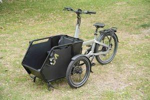 China Comfortable Cargo E Bike with Hydraulic Brakes and Stable Cabin for Urban Families and Everyday Adventures for sale