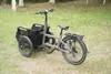 Quality Powerful Cargo E Bike with 55nm Motor and Electronic Gearsnd Puncture Proof for sale