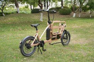 China Innovative Cargo E Bike with Storage Optimized Foldable Frame Design for sale