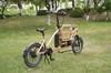 Quality Innovative Cargo E Bike with Storage Optimized Foldable Frame Design for sale