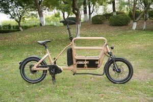 Quality Powerful Cargo E Bike with Ananda MID Drive Motor and High Torque for sale