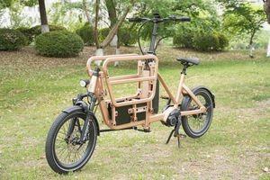 Quality En15194 Compliant Cargo Bike with Aerospace Grade Aluminum Frame and Build for sale