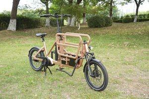 Quality Compact Cargo E Bike with Foldable Front Frame for Easy Storage for sale