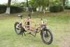 Quality Robust Cargo E Bike with Dual Hydraulic Disc Brakes for Safety for sale