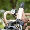 Quality Robust Cargo E Bike with Dual Hydraulic Disc Brakes for Safety for sale
