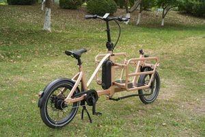 Quality Efficient Cargo E Bike with Karasawa Automatic Internal Gear System for sale