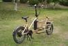Quality Efficient Cargo E Bike with Karasawa Automatic Internal Gear System for sale