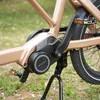 Quality Efficient Cargo E Bike with Karasawa Automatic Internal Gear System for sale