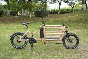 Quality Sleek Cargo E Bike with Reflective Puncture Proof Kenda Tires for sale