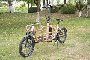 Quality Versatile Cargo E Bike with 3 Speed Gear Hub for Urban Commutes for sale
