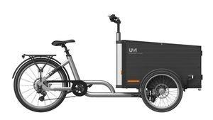 Quality Durable Electric Cargo Trike for Family and Heavy Loads for sale