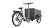 Quality Family-Friendly Trike E-Bike for Urban Mobility and Cargo Hauling for sale