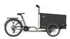 Quality Family-Friendly Trike E-Bike for Urban Mobility and Cargo Hauling for sale