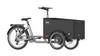Quality High-Capacity E-Bike Cargo with Aikema Hub Motor and 7-Speed Gear System for sale
