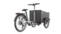 Quality Versatile E Cargo Trike for Urban Families and Transport Solutions for sale