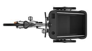 China Practical Cargo E-Bike for Family Outings and Storage for sale