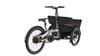 Quality Practical Cargo E-Bike for Family Outings and Storage for sale