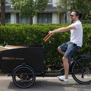 China New 250W 25km/H Entry-Level Heavy-Duty Reliable Durable Steel Frame Cargo Bike Starter for sale