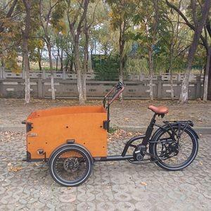 China Eco-Friendly Electric Cargo Bicycle with Durable Marine Plywood for sale
