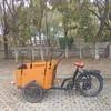 China Stylish Electric Cargobike Bakfiet with Attractive Design and Spacious Cargo Box Family C for sale