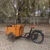China High-Performance Electric Cargobike Bakfiet with Flexible Gear System for Diverse Roads Family C for sale