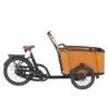 China High-Performance Electric Cargobike Bakfiet with Flexible Gear System for Diverse Roads Family C for sale