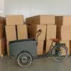 Quality Versatile Electric Cargo Bike with Spacious Transport Box for sale