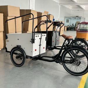 Quality High-Performance Electric Cargo Bike with 250W Brushless Motor for sale