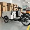Quality High-Performance Electric Cargo Bike with 250W Brushless Motor for sale