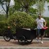 Quality High-Performance Electric Cargo Bike with 250W Brushless Motor for sale
