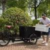 Quality High-Performance Electric Cargo Bike with 250W Brushless Motor for sale