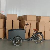 Quality Ultimate Electric Bakfiets for Urban and Rural Exploration for sale