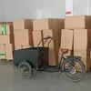 Quality Reliable Electric Cargo Bike with Superior Load Capacity for sale