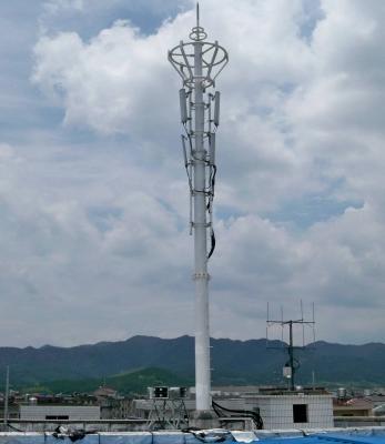 China Galvanized Steel Antenna Internet Radio Telecoms Monopole for sale