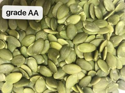 China Shine Skin Pumpkin Seed Kernel for sale