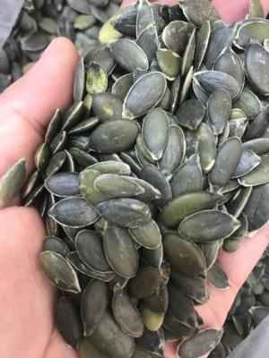 China GWS Pumpkin Seed Kernel for sale