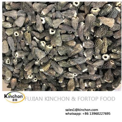 China Morchella Esculenta, dried morel mushroom, Guchchi, morchella conica for sale