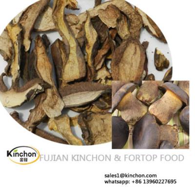 China Dried Boletus Aereus Mushroom for sale
