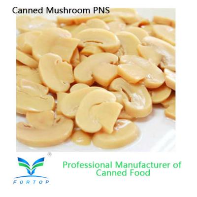 China Canned Sliced Mushrooms PNS Mushrooms for sale