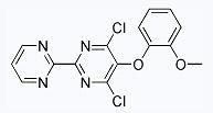 China supply BOSENTAN intermediate  4,6-Dichloro-5-(2-Methoxyphenoxy)-2,2-Bipyrimidine cas no 150728-13-5 for sale