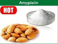 China D(-)-Amygdalin Hydrate Natural Plant Extracts , Apricot Kernel Extract 29883-15-6 for sale