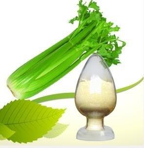 China Andrographolide / Andrographis Paniculata Natural Plant Extracts 5508-58-7 for sale