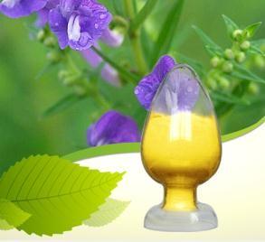 China Scutellaria Root Extract Natural Plant Extracts Baicalin 21967-41-9 Anhydrate Basis for sale