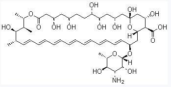 China pharmaceutical ingredient Amphotericin B cas no 1397-89-3 for sale